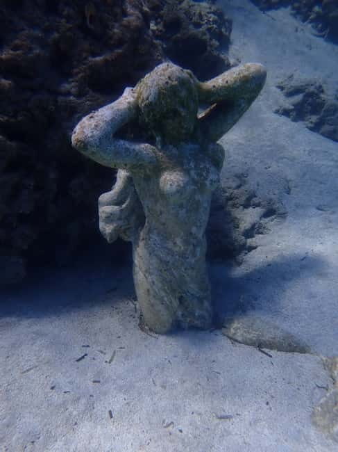 Cyprus: Introductory Scuba Lesson and Dive with Transfer - The Value of the Experience