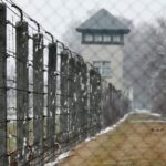 Dachau Concentration Camp Private Tour - Itinerary Breakdown