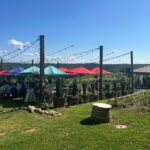 Dahlonega Wine & Dine Private Tour from Atlanta - Who Should Consider This Tour?