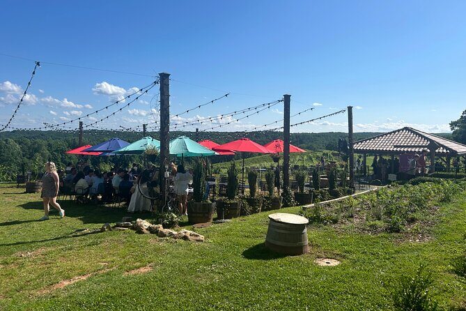 Dahlonega Wine & Dine Private Tour from Atlanta - Who Should Consider This Tour?