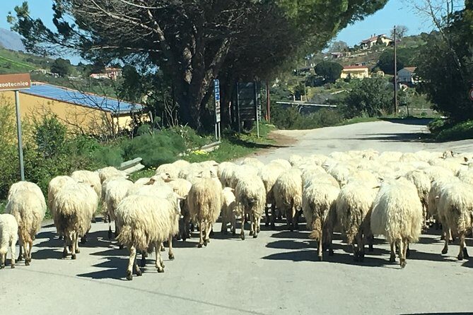 Daily Biking in the Rural Sicily - What Makes This Tour Stand Out?