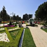 Daily Private Guide in Istanbul - Who This Tour is Perfect For