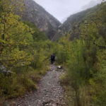 Dajti Cable Car and Shengjergj Waterfall Tour with Lunch - Who is This Tour Perfect For?