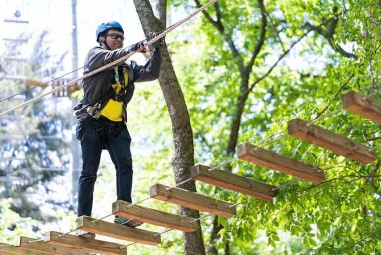 Dallas: Aerial Adventure Course Park Pass - Practical Tips for Visitors
