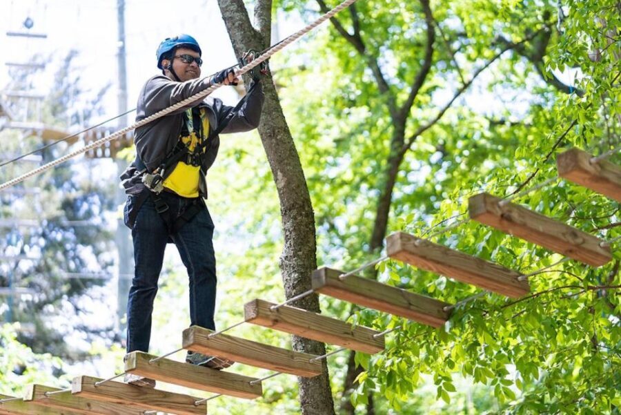 Dallas: Aerial Adventure Course Park Pass - Practical Tips for Visitors