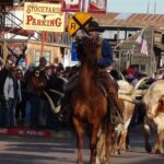 Dallas and Fort Worth City Sightseeing Tour Small-Group - What to Expect: Logistics and Experience