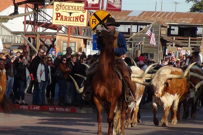 Dallas and Fort Worth City Sightseeing Tour Small-Group - What to Expect: Logistics and Experience