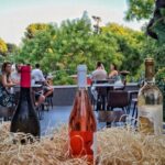 Dalmatian wine tasting by Bottiglia wine & deli - The Learning Experience