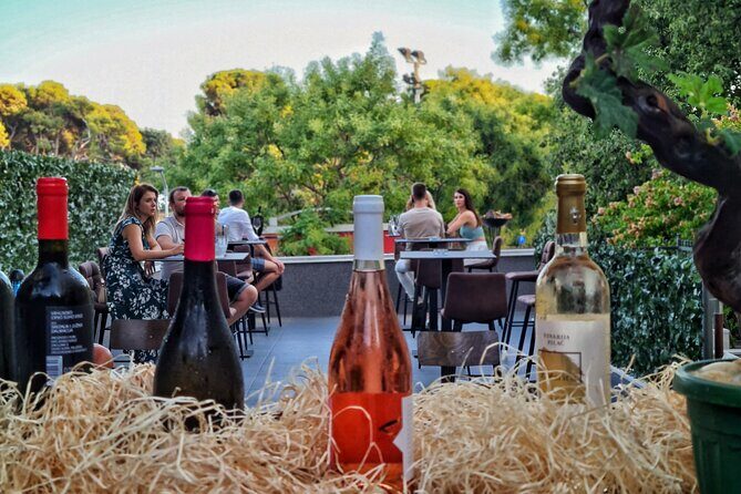 Dalmatian wine tasting by Bottiglia wine & deli - The Learning Experience