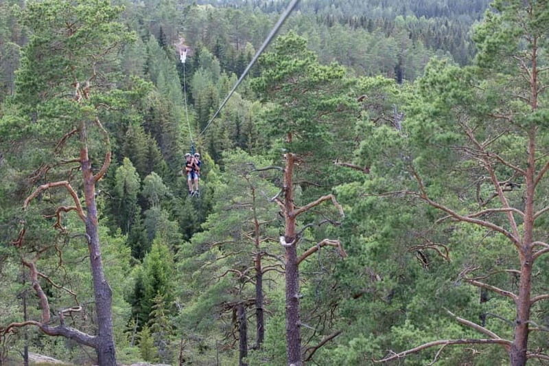 Dals Långed: Zipline Adventure at Steneby Gård - How the Itinerary Unfolds