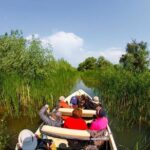 Danube Delta - Private Tour with Boat Trip & Traditional Lunch - Detailed Breakdown of the Itinerary