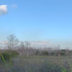 Dark Sky's in the Florida Everglades - Practical Details and What to Expect