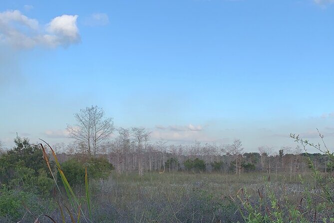 Dark Sky's in the Florida Everglades - Practical Details and What to Expect