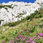 Day Hike PRIVATE - Piatra Craiului National Park - The Itinerary in Detail