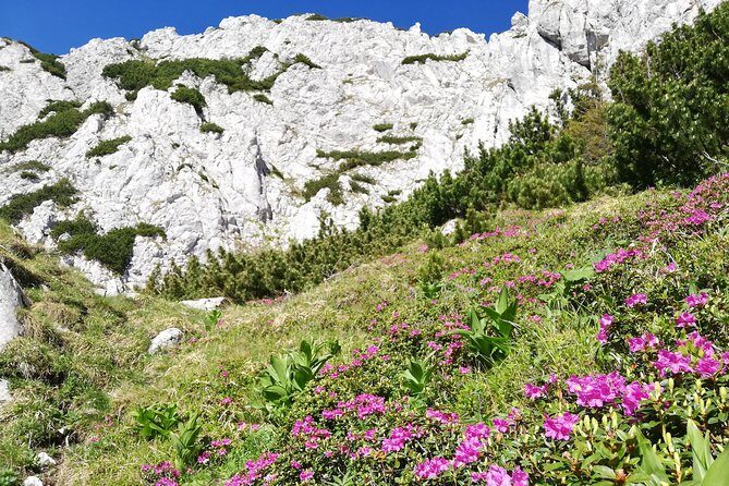 Day Hike PRIVATE - Piatra Craiului National Park - The Itinerary in Detail