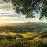 Day Private Russian River Valley Wine Tour from San Francisco - Visiting the Wineries: What to Expect