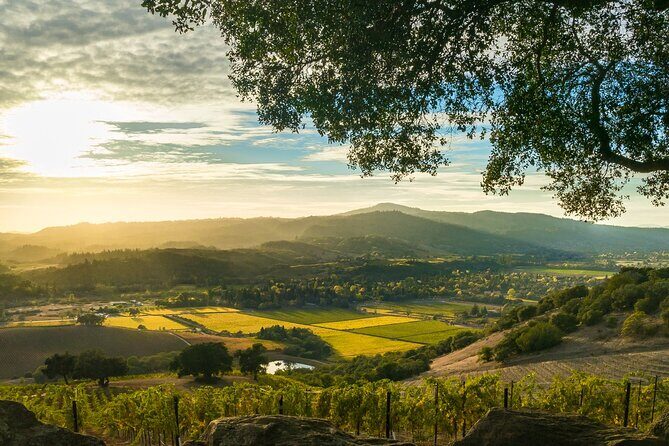 Day Private Russian River Valley Wine Tour from San Francisco - Visiting the Wineries: What to Expect