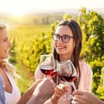 Day Private Snoqualmie Falls & Woodinville Wine Tour from Seattle - Visiting Iconic Wineries: Goose Ridge & Chateau Ste. Michelle