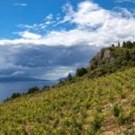 Day Tour from Dubrovnik - Korula and Peljeac Wine Tasting - Transportation and Group Dynamics