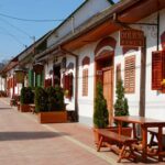 Day Tour of Pécs and with Villány with Wine Tasting - Practical Details and What to Expect