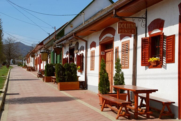 Day Tour of Pécs and with Villány with Wine Tasting - Practical Details and What to Expect