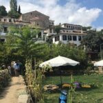 Day Tour - Pamukkale, Travertines and Hierapolis Tour from Kusadasi - The Practical Side: Transport, Duration, and Costs