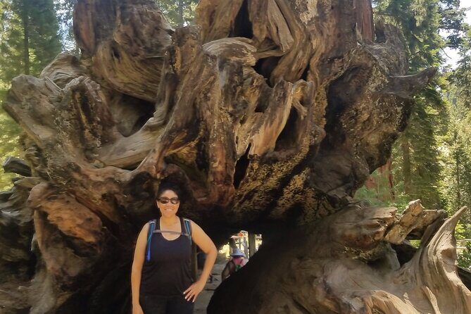 Day Tour to Kings Canyon National Park - Key Points