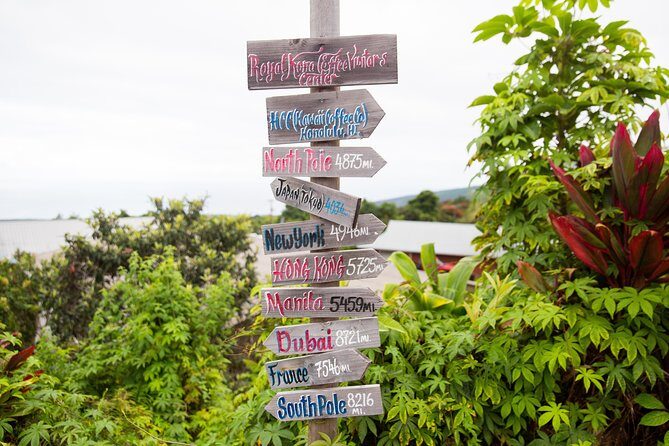 Day Trip from Oahu to Hilo: Volcano Adventure - What It Means for You