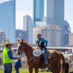 Day trip in Houston Texas with Lunch - Why This Tour Works for Travelers