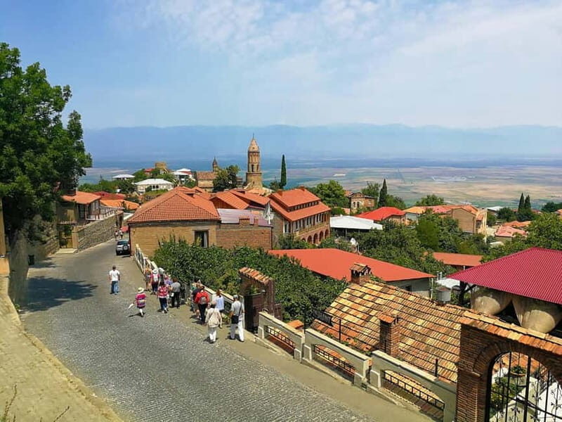 Day trip in Kakheti-Beauty and Love in a Glass Wine - Who Should Book This Tour?