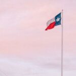 Day trip to Dallas with Lunch - What Travelers Say & What to Expect