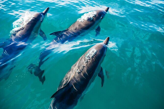 Day Trip to Key West with Optional Activities from Miami - The Details of the Itinerary