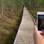 Day Trip to Land of Bays, the Romantic North-Coast from Tallinn - Detailed Breakdown of the Itinerary