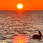 Daytona Beach: Sunrise Cruise on the Atlantic Ocean - What’s Included and What’s Not
