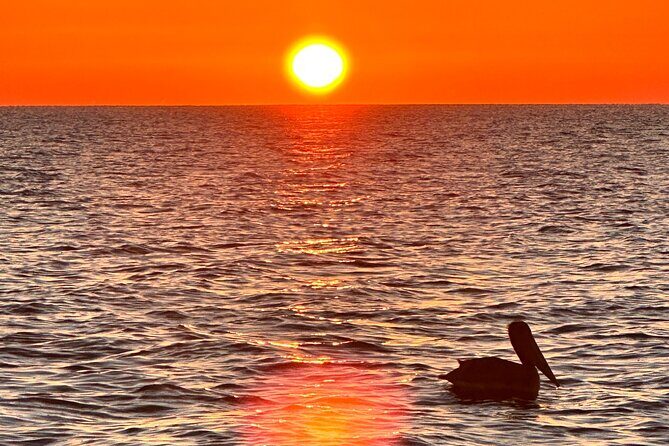 Daytona Beach: Sunrise Cruise on the Atlantic Ocean - What’s Included and What’s Not