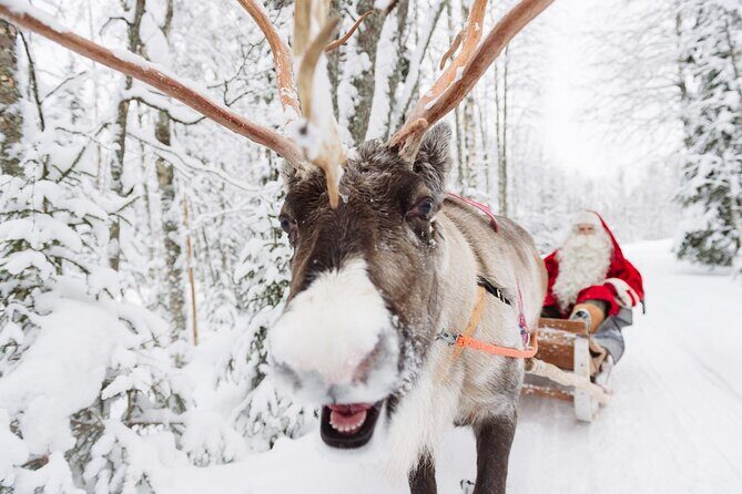 Daytour to Santa Claus Village, Reindeer and Husky Safaris, Photo, and Lunch - Who Should Consider This Tour?