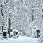Death and Chocolate: Walking Tour of Munich's Old South Cemetery - The Chocolate and Neighborhood Finale
