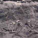 Death in New York Walking Tour - The Value of the Experience