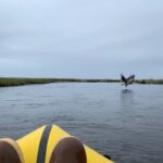 Deep Creek 1/2 Day Packraft Tour - Who Should Consider This Tour?
