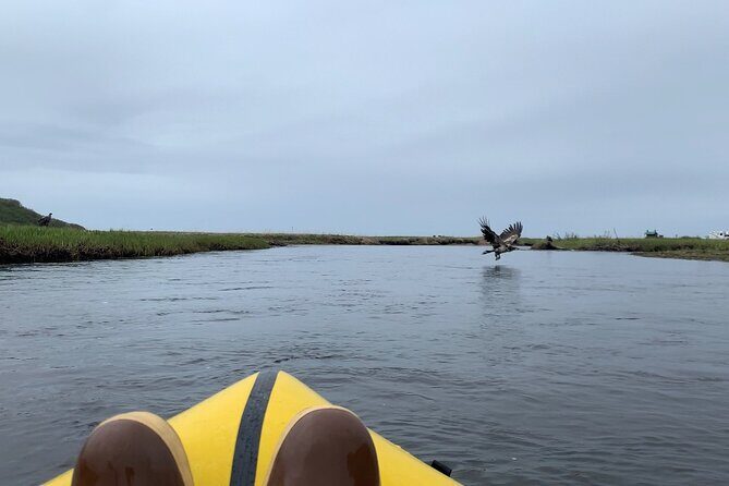 Deep Creek 1/2 Day Packraft Tour - Who Should Consider This Tour?