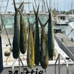 Deep Sea Fishing Charter in Waikiki, Hawaii - What to Expect on Your Deep-Sea Fishing Day