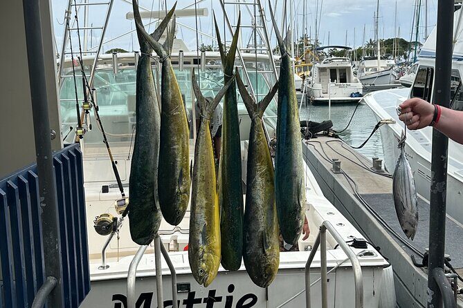Deep Sea Fishing Charter in Waikiki, Hawaii - What to Expect on Your Deep-Sea Fishing Day