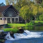 DeLeon Springs River Boat Tour - In-Depth Look at the Itinerary