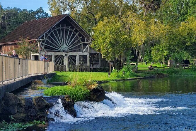 DeLeon Springs River Boat Tour - In-Depth Look at the Itinerary