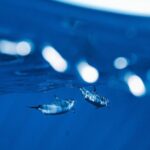 Deluxe Catamaran Swim with Dolphins in Oahu with Waterslide - The Sum Up