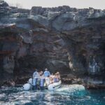 Deluxe Morning Snorkeling Adventure - Marine Encounters and Wildlife Sightings