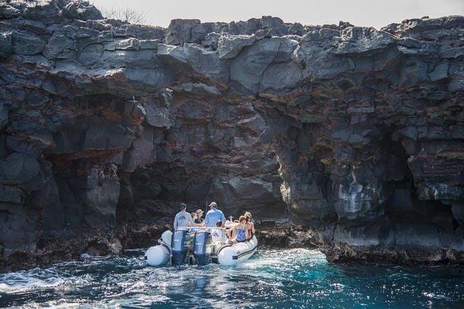 Deluxe Morning Snorkeling Adventure - Marine Encounters and Wildlife Sightings