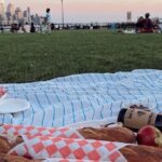 Deluxe Picnic for 2 (Grab and Go) - An Authentic Picnic Experience in the Heart of NYC
