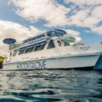 Deluxe Snorkel & Dolphin Watch Aboard a Luxury Catamaran from Kailua-Kona - What the Reviews Reveal