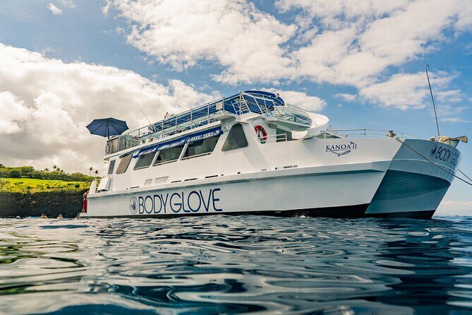 Deluxe Snorkel & Dolphin Watch Aboard a Luxury Catamaran from Kailua-Kona - What the Reviews Reveal